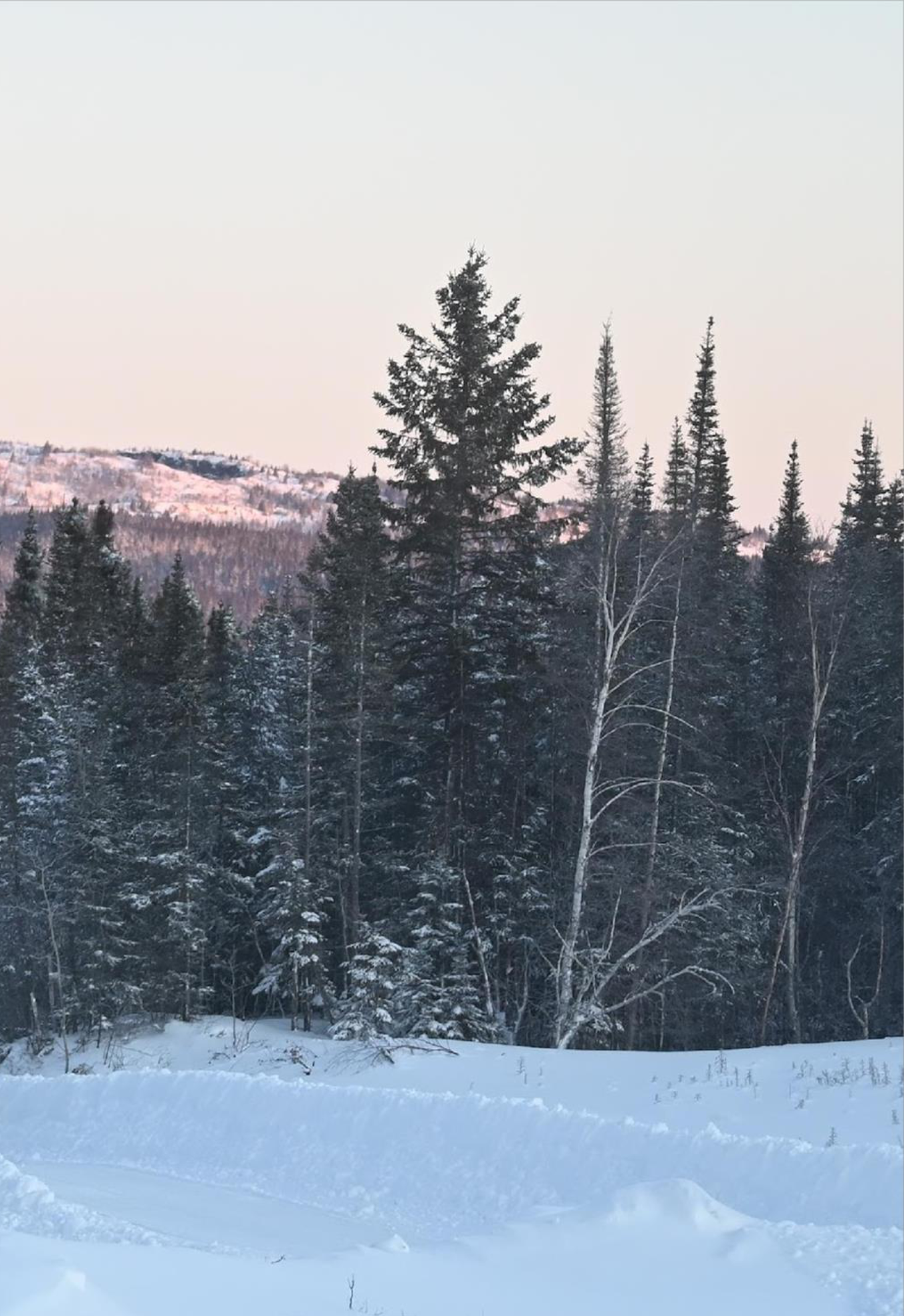 Wawa Gold Project - Red Pine Exploration